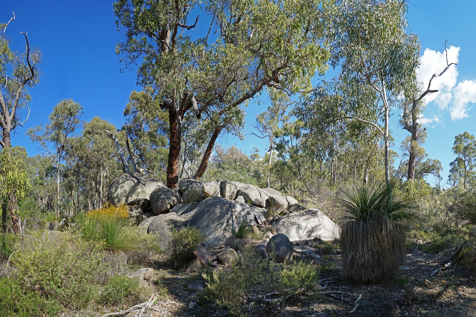FR Berry Walk Trail (FR Berry Reserve) ~ The Long Way's Better