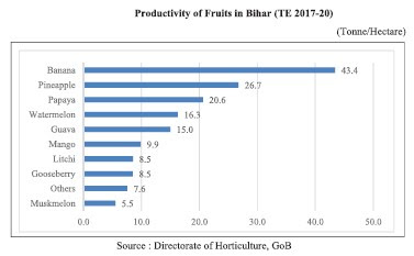 Agriculture Sector in Bihar