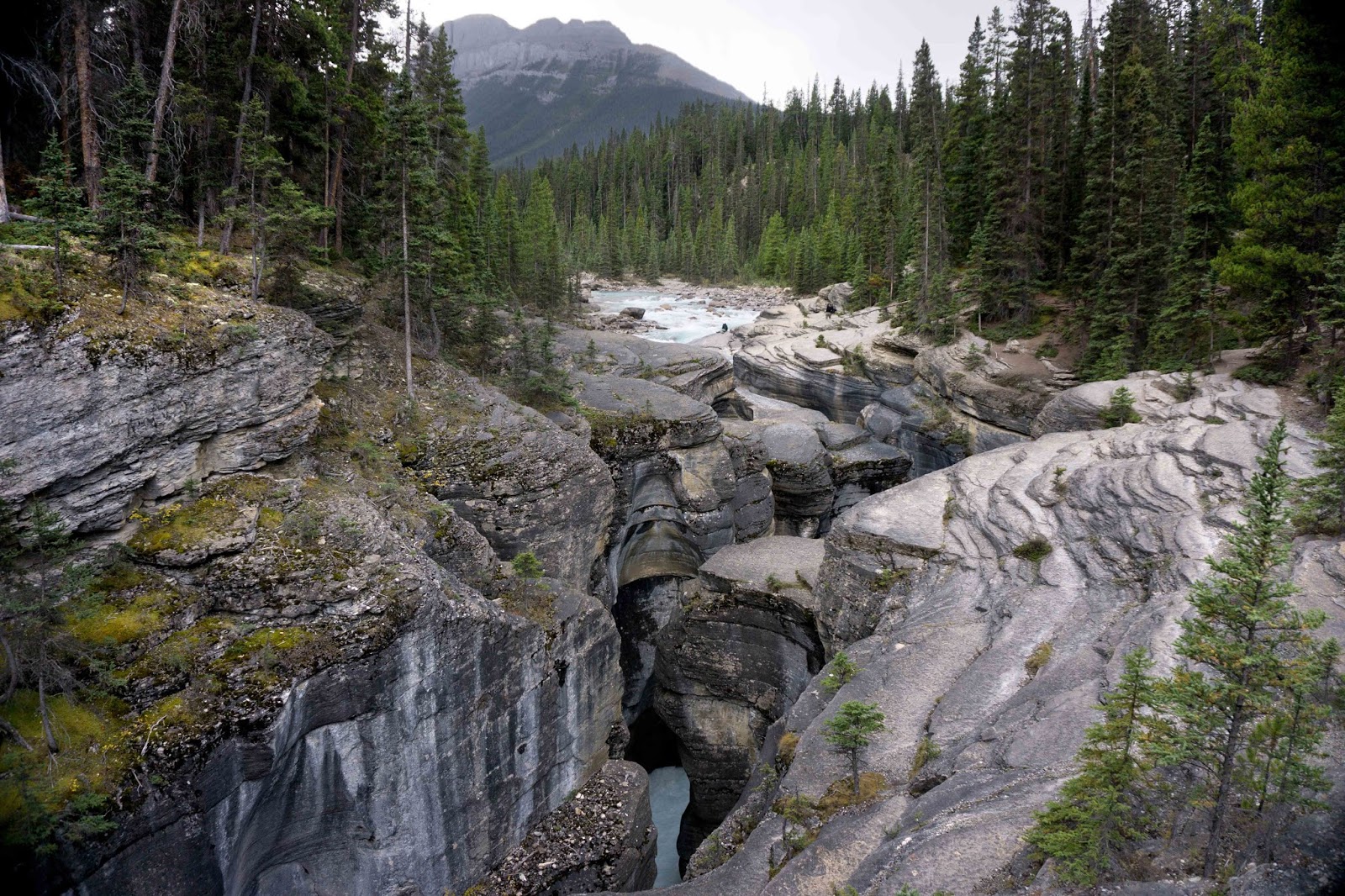 The Adventures of Asher & Journey: Banff National Park {Mistaya Canyon ...
