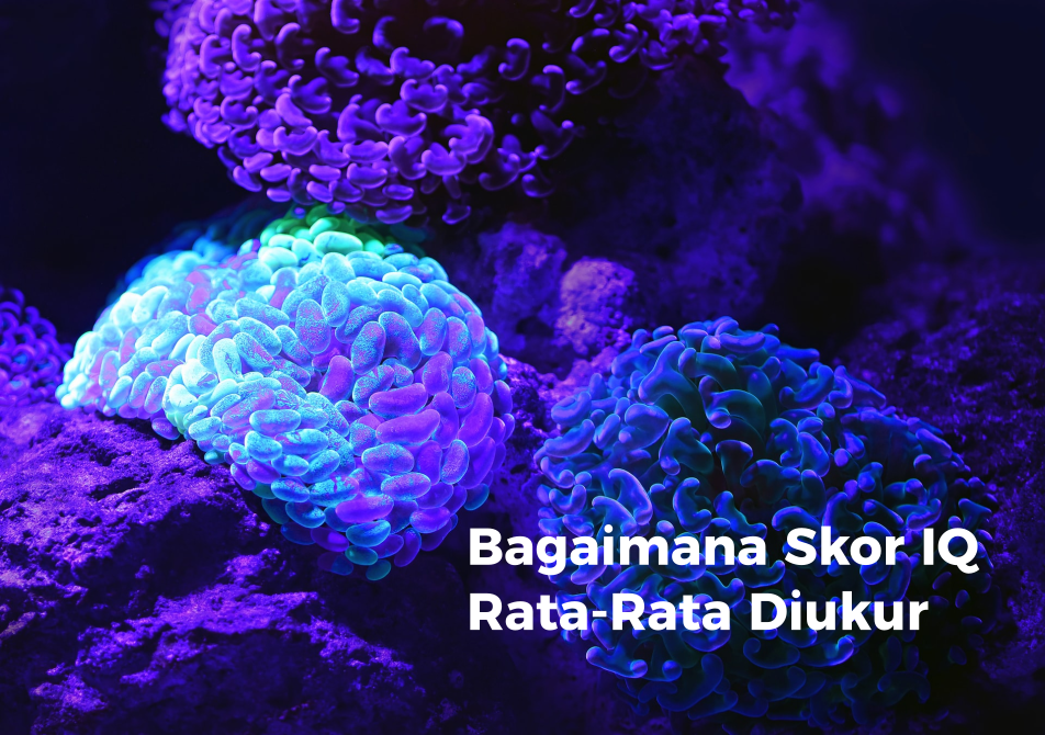 Bagaimana Mengukur Skor IQ rata-rata (Panduan Lengkap) | Motivarts Magazine