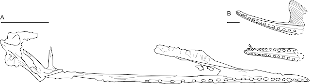 Mark P. Witton's Blog: And I, for one, welcome our new wukongopterid ...