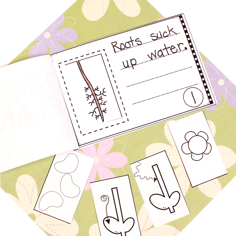 KinderGals: Spring-Writing, Reading, and Math Activities
