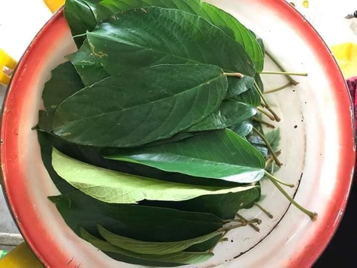 Kita Kongsi Resepi Apam Johol Guna Daun Rambai