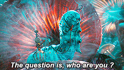 Wonderland - Minhas Insanas Maravilhas: Absolem