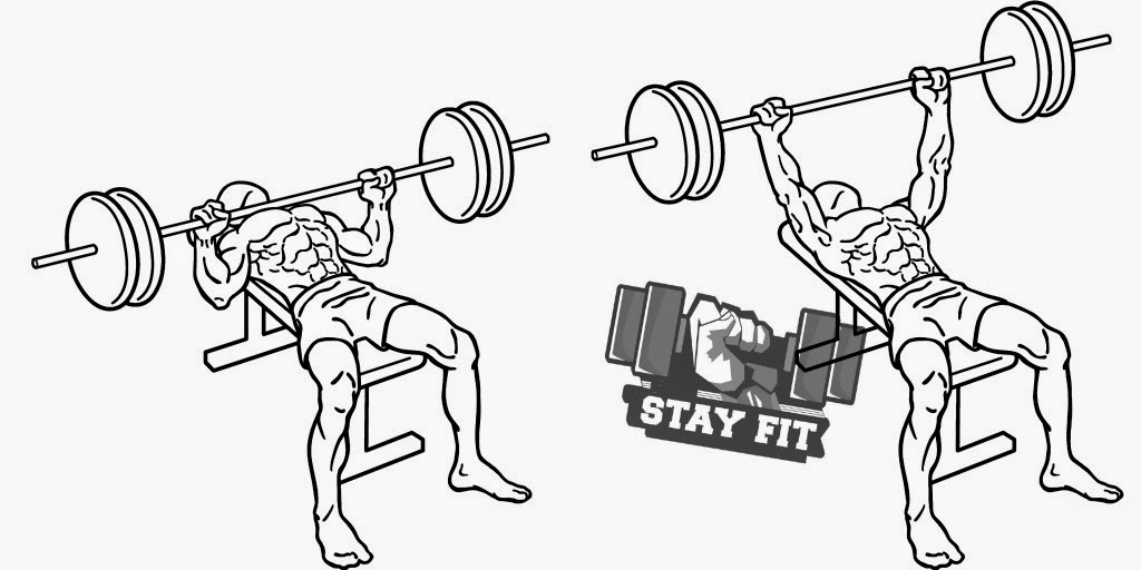 Chest Exercises. ( Part 1) ~ Stay Fit