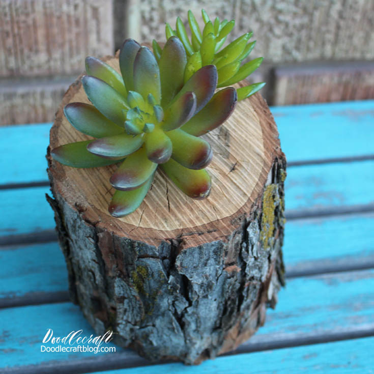 Succulent Log Planter!