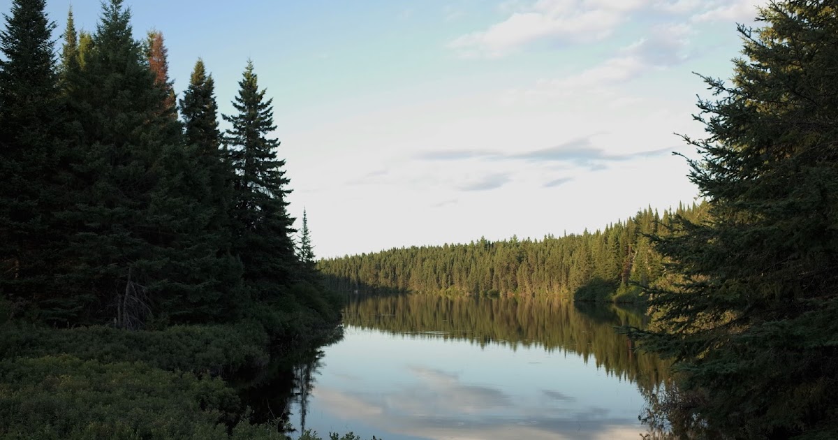 L'OEIL AU VERT: Lac du Moulin, Abitibi. -18 août 2016