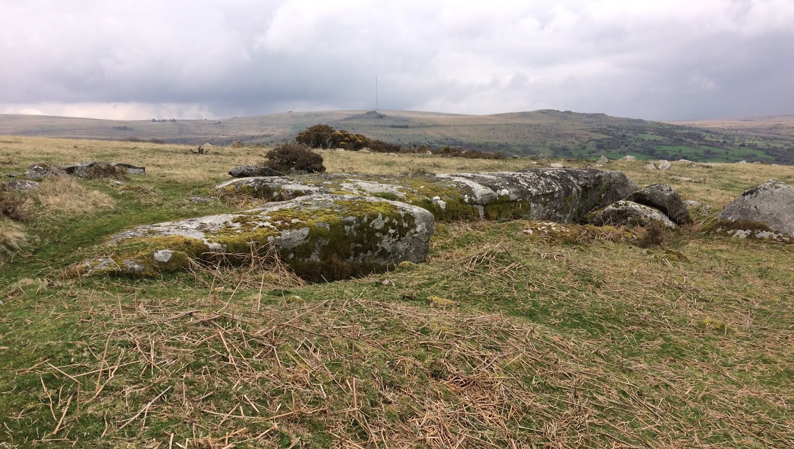 Max Piper - Tor Bagger: Dartmoor: Pew Tor and Heckwood Tor