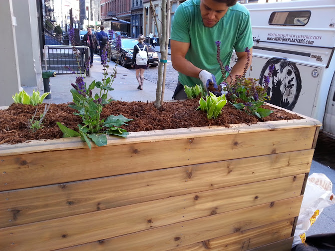 NY ROOFTOP GARDENERS: Custom built planters filled with professionaly ...