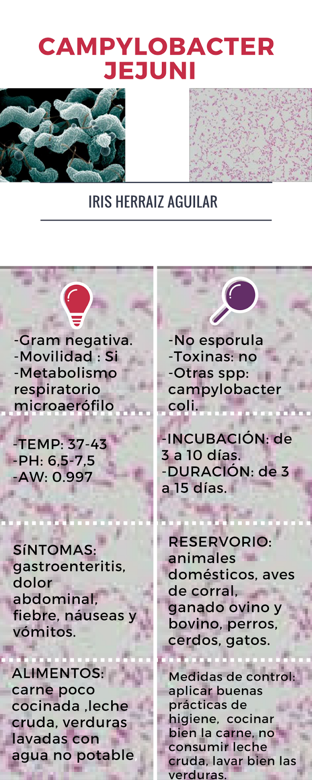 Bacterias patógenas de transmisión alimentaria