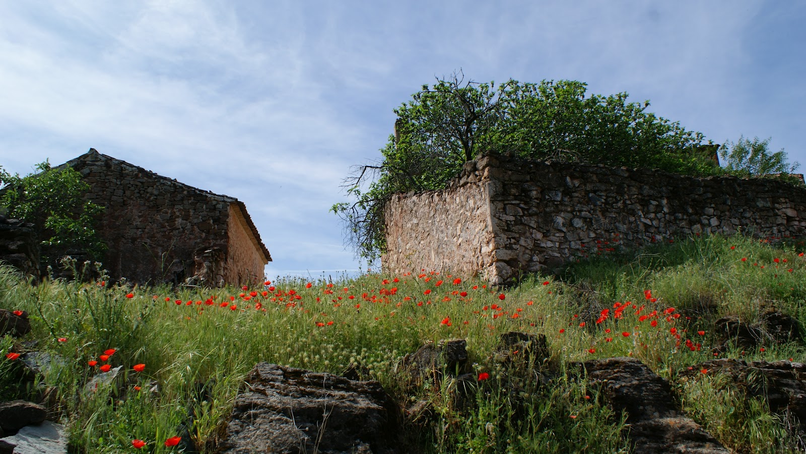 Las Graceas aldea ecologica, eco village: Fotos de la aldea.
