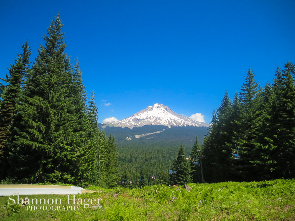 Enjoying Life With 4 Kids: Camping 2013: Mt. Hood Skibowl Adventure ...