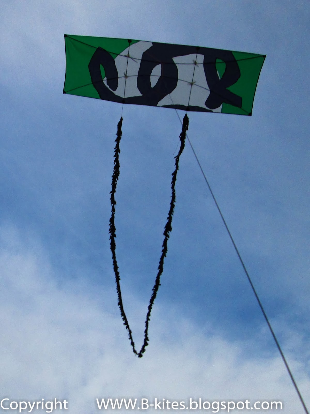 B-kites: MY KITES VILT