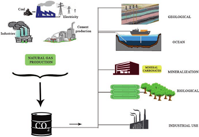Carbon Capture, Utilization and Storage