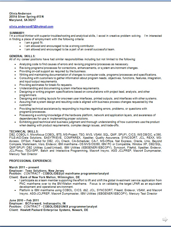 Mainframe Programmer Sample Resume Format in Word Free Download