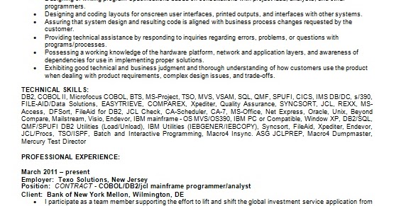 Mainframe Programmer Sample Resume Format in Word Free Download