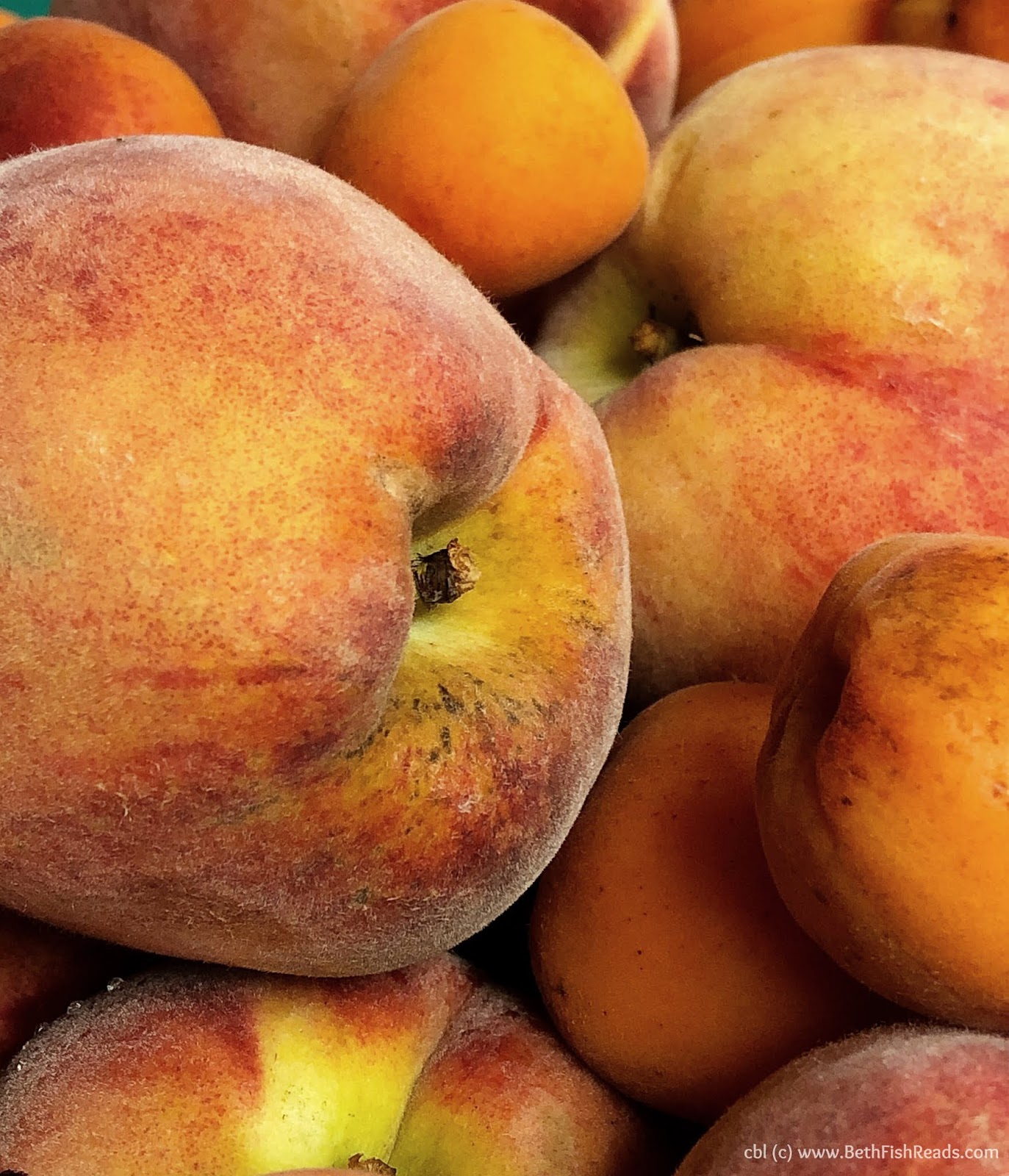 Beth Fish Reads: Wordless Wednesday 538