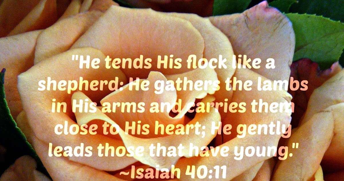 Flowery Blessing: "He tends His flock like a shepherd: He gathers the ...