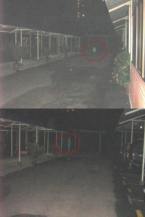 AWESOME BLOG: AWESOME SERIOUS - A REAL GHOST PICTURES COLLECTION PART 3 ...