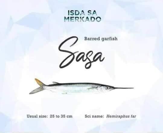 Ibat-Ibang Klase ng Isda at Iba Pang Laman-Tubig na Karaniwang Mabibili ...