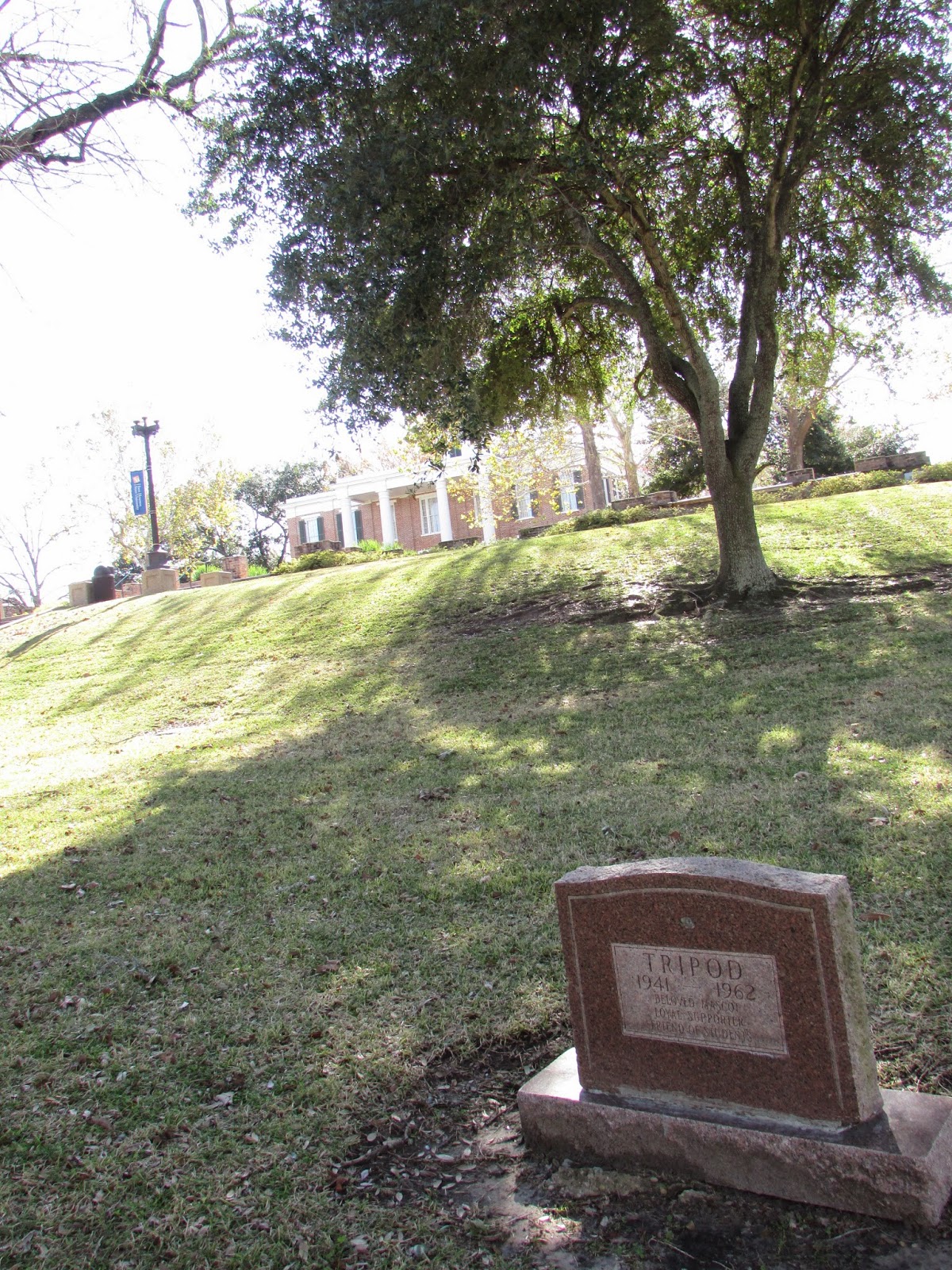 BOTANICAL STUDY on the campus of Sam Houston State University & Museum ...