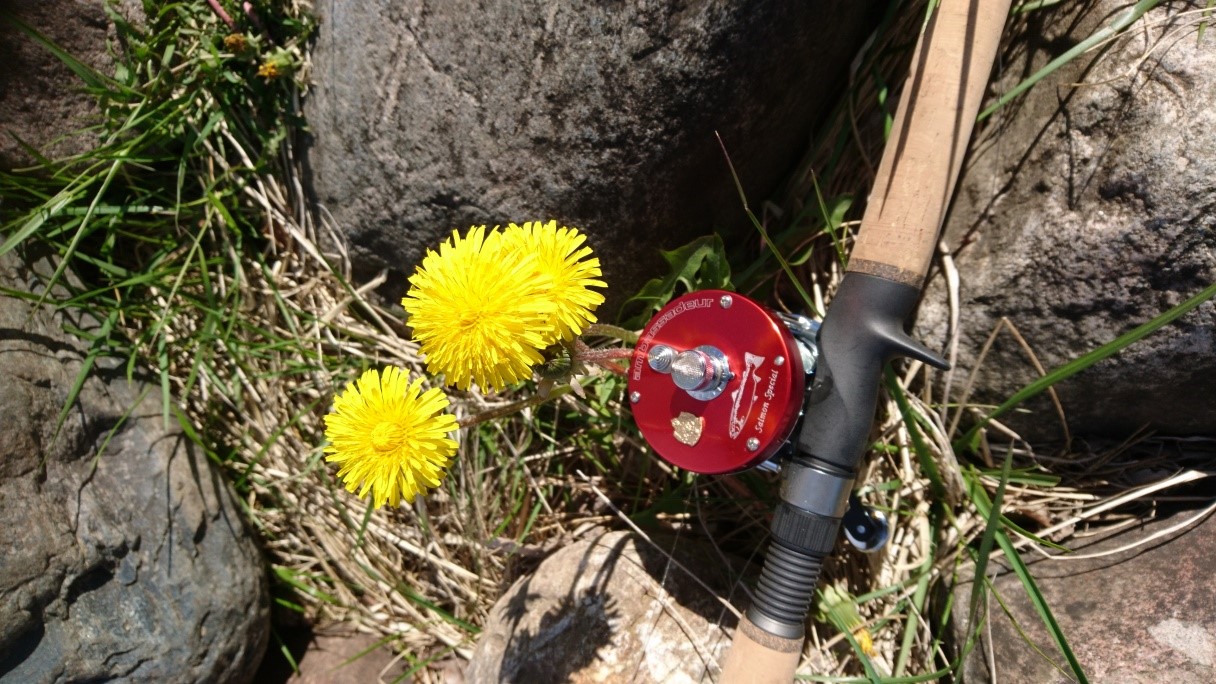 Bloggare | Gavleörings Erik Frodig bloggar om våren som gått!