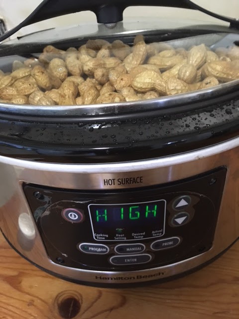 Boiled Peanuts CrockPot Slow Cooker Recipe - A Year of Slow Cooking