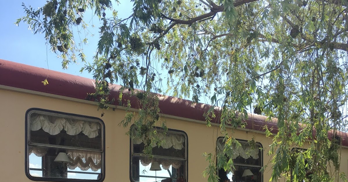 La Postal De Zamarramala En Segovia O Los Clásicos Actualizados Con Vistas