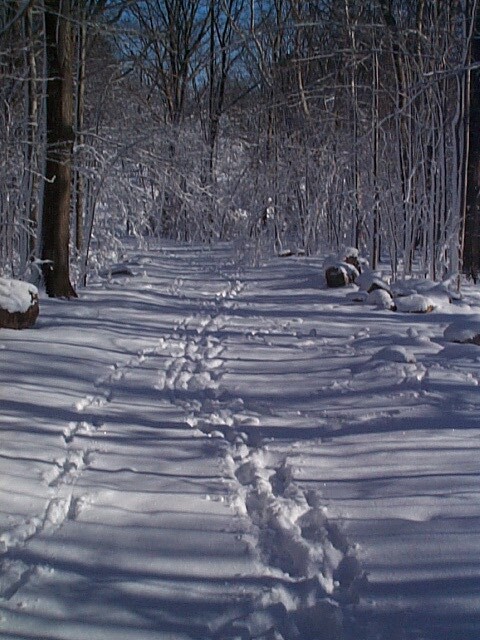 The Personal Navigator: Some interesting old paths to take….