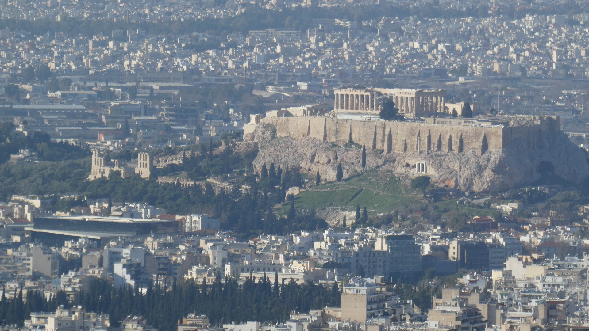 ΑΙΣΘΗΤΙΚΟ ΔΑΣΟΣ ΚΑΙΣΑΡΙΑΝΗΣ