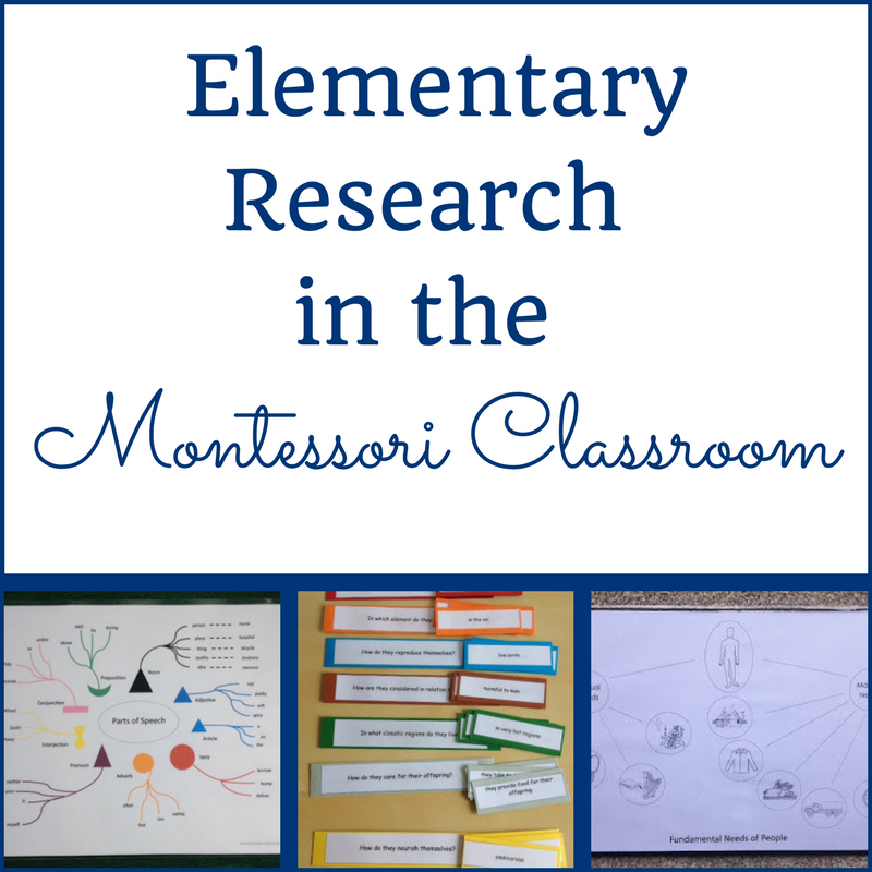 Elementary Observations Early Elementary Research elementary-observations-early-elementary-research
