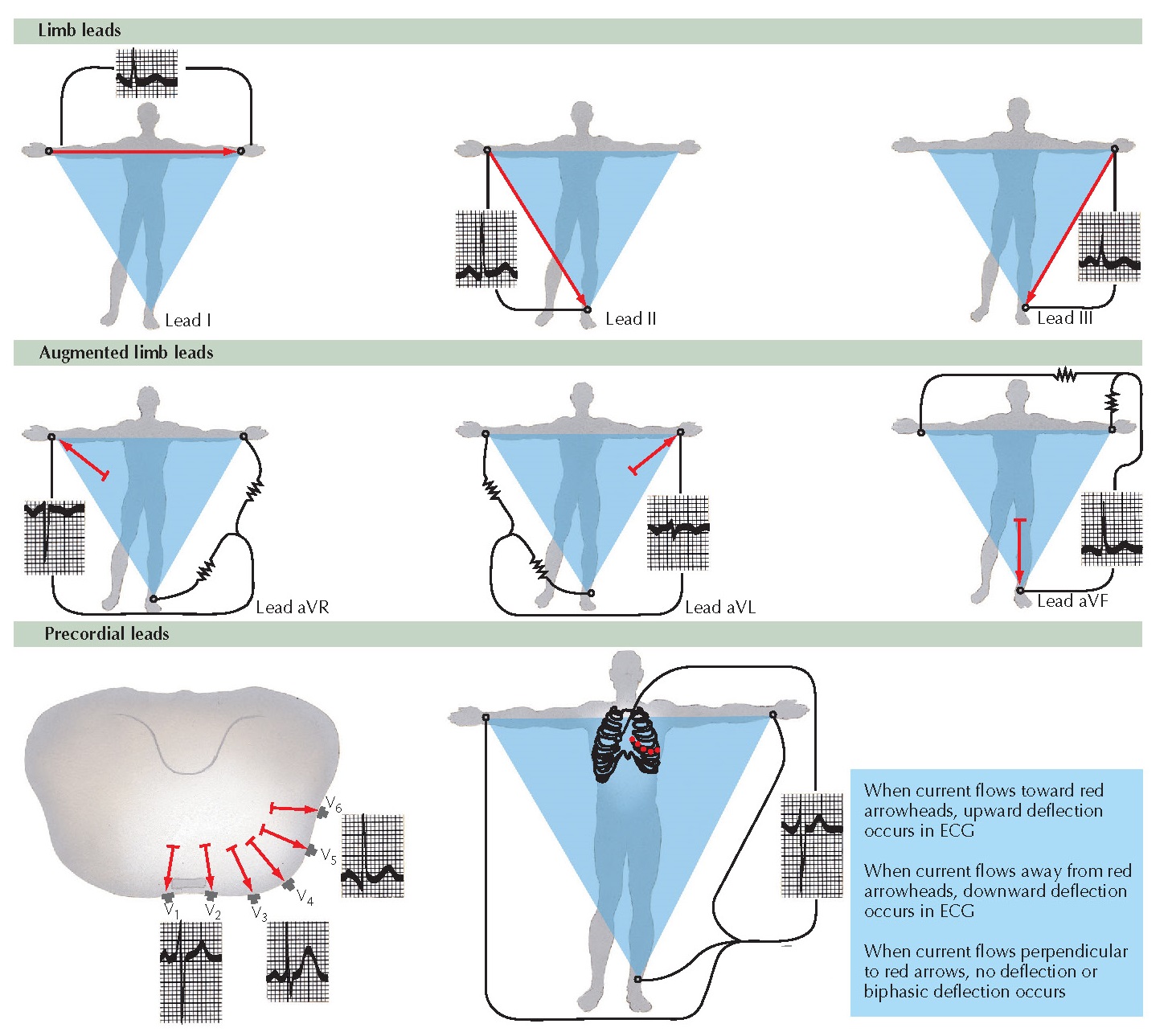ELECTROCARDIOGRAPHY - pediagenosis
