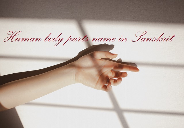 Human Body Parts Name In Sanskrit human-body-parts-name-in-sanskrit