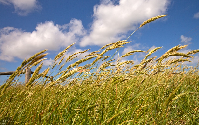 6 Macam-Macam Angin di Indonesia ~ Ruana Sagita