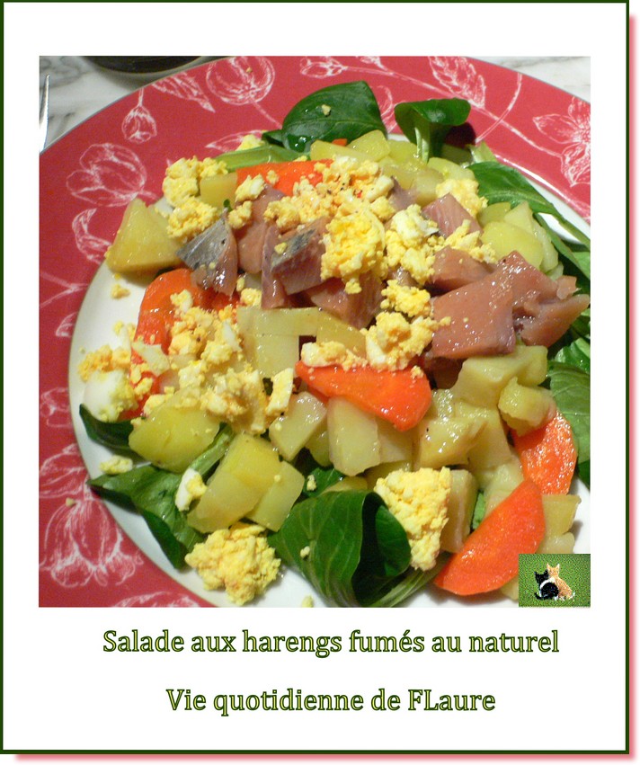 Salade aux harengs fumés au naturel
