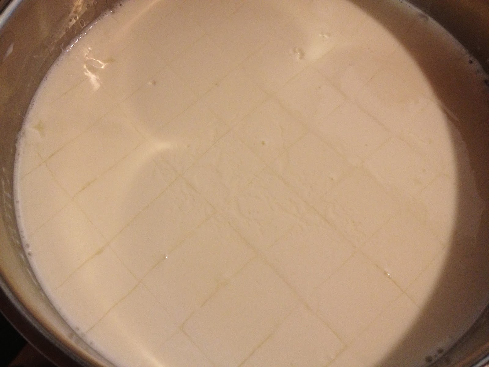 Free From G.: The Big Cheese Making Kit - Our Homemade Mozzarella