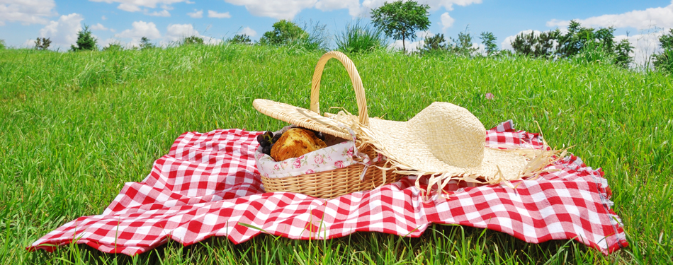 El Blog de la Dulzura: ¿Cómo organizar un día de picnic?