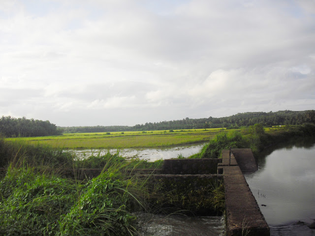 എയ്യാല്‍: Ona Kaalam