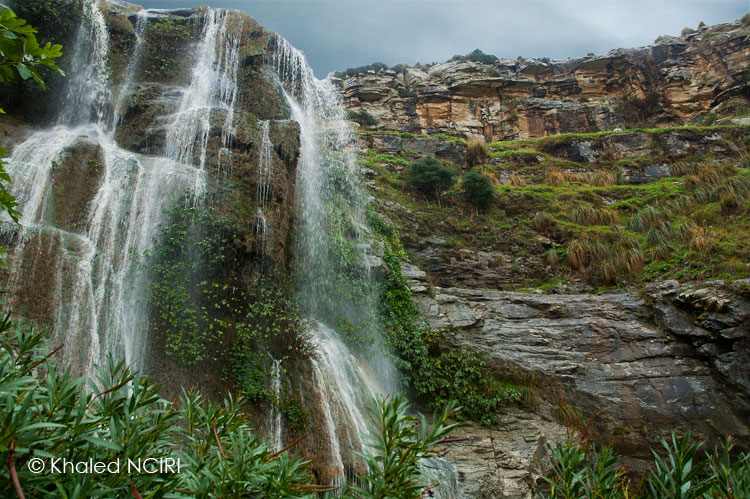 struky Photoblog: Oued Zitoun