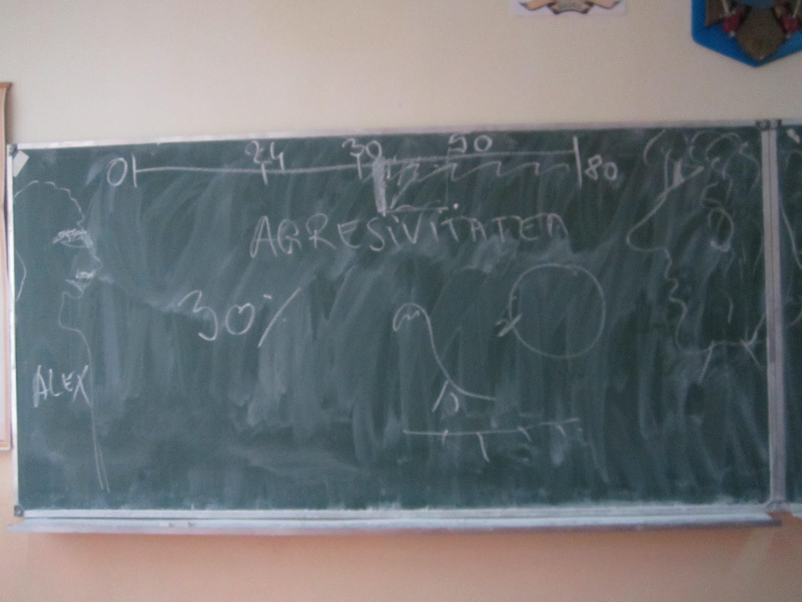 campanie antiviolenta- activitati din campanie