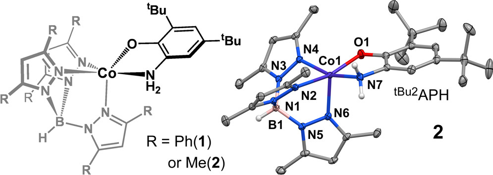 Cobalt Superoxo and Alkylperoxo Complexes Derived from Reaction of Ring ...