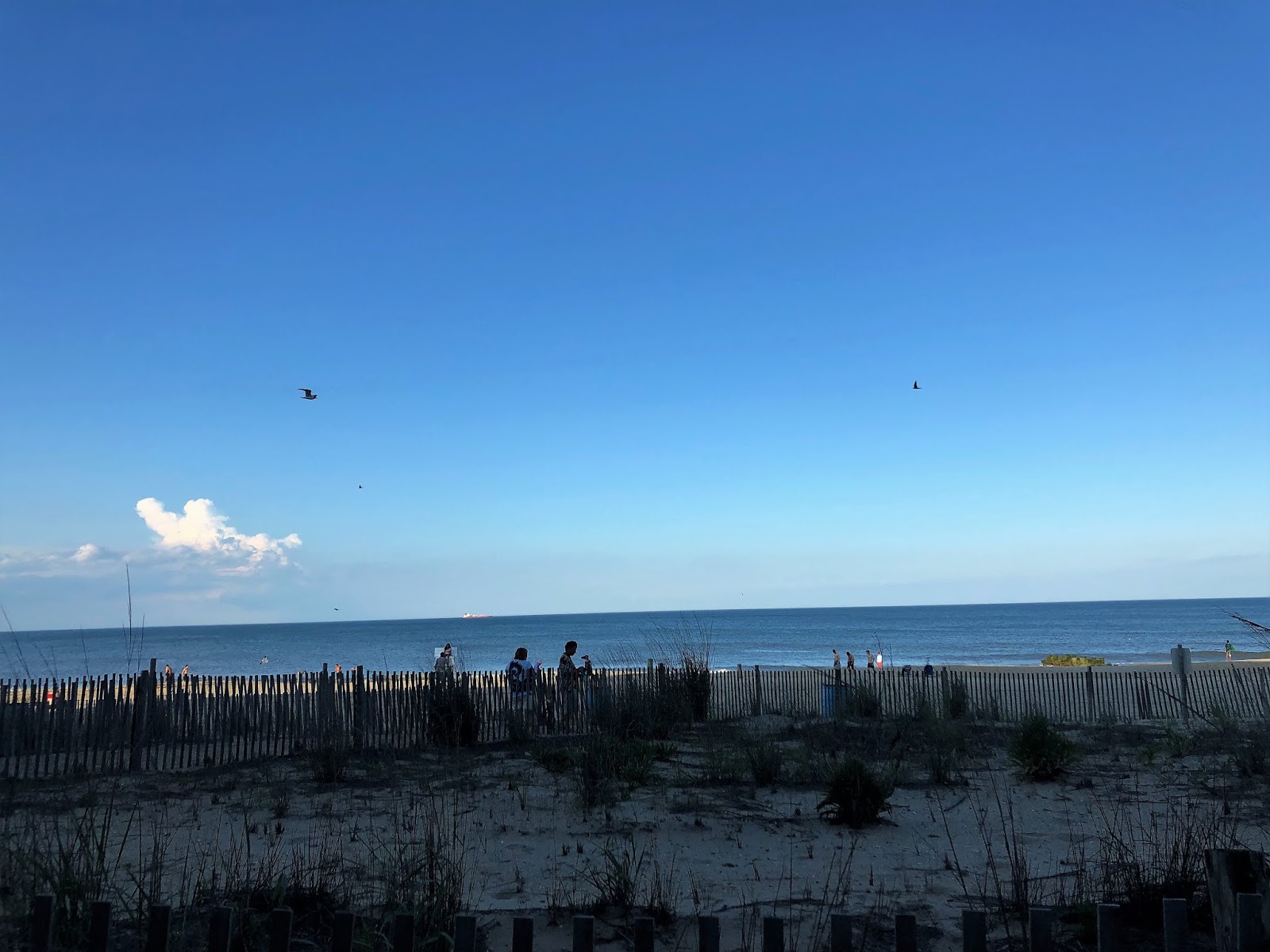 Fun Times....: Beach Vaca Continues