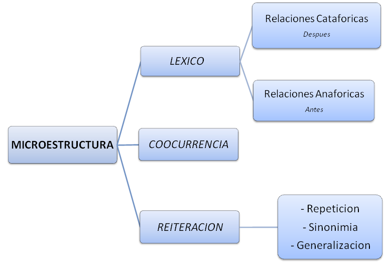 Razonamiento Verbal: La macroestructura y microestructura