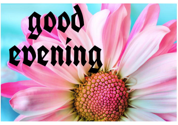 Good Evening Pics good-evening-pics