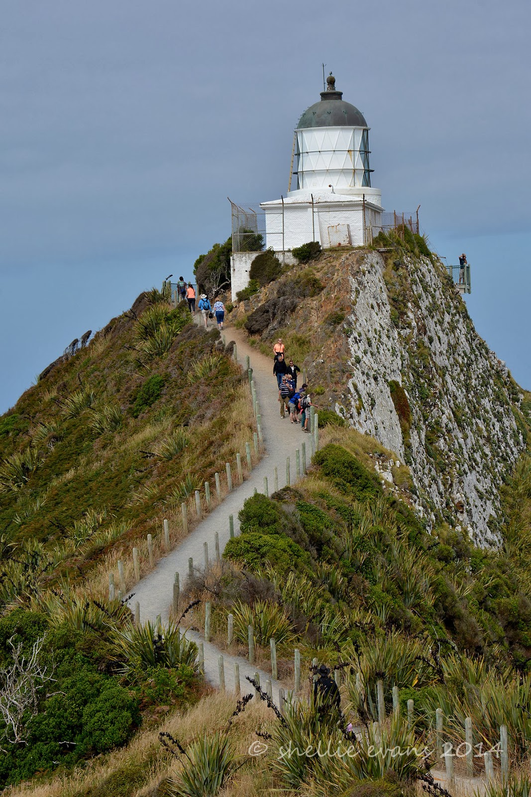Two Go Tiki Touring: Nugget Point Lighthouse