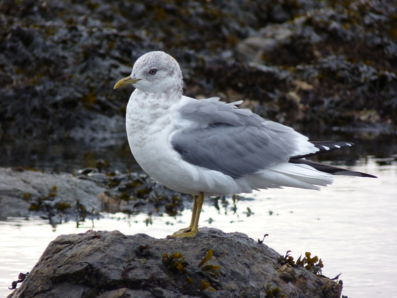 The Naturalest Naturalist: February 2012