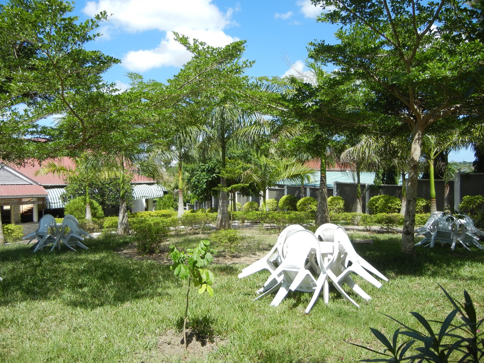 Warembo Wa Tanzania : Warembo wa Redd's Miss Tanzania 2012 watemelea ...