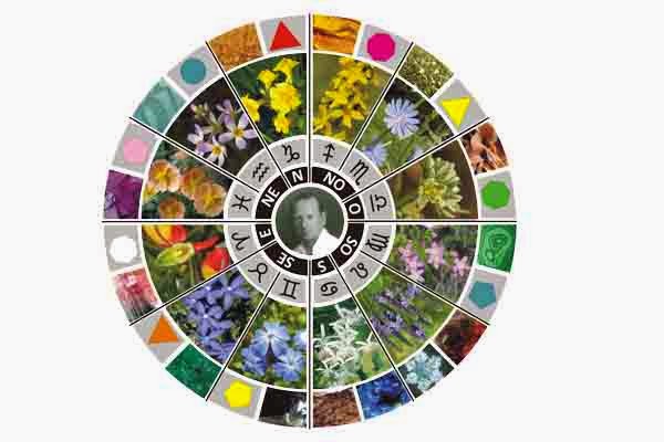 EN MI PROPIO CAMINO: Test de las flores de Bach