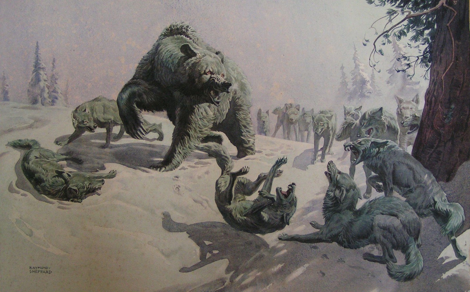 Raymond Sheppard and Star Weekly (Toronto)