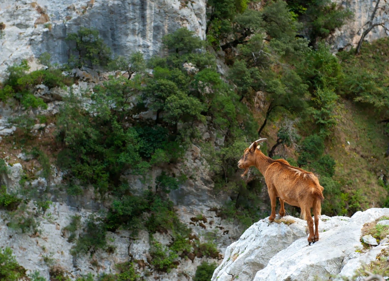 Instantes, fotos de Sebastián Navarrete: La Ruta del Cares, de Puente ...
